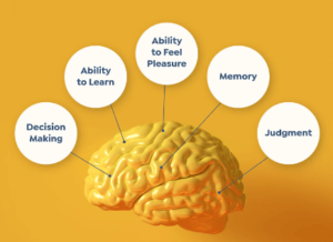 The effects of drug addiction on the brain: a closer look - The Body ...